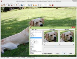 What Is Tif Files Explained And How To Open Them