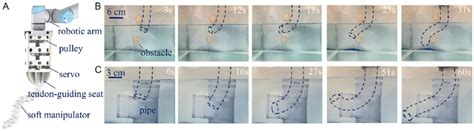 obstacle avoidance and exploration experiment of the soft manipulator