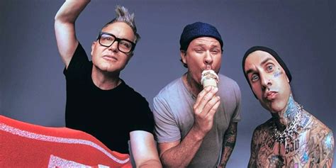 Lollapalooza Brasil Blink 182 Cancela Apresentação No Festival Twenty