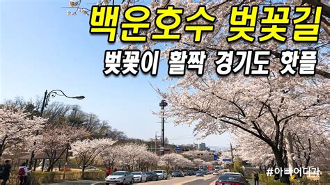 👪의왕 백운호수 벚꽃 나들이 드라이브🌸 🎁롯데 타임빌라스 프리미엄 아울렛 쇼핑🎁 롯데아울렛 타임빌라스 백운호수 의왕