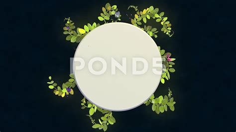 Growing Plant Animation