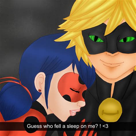 Silverdragon07 — One Day Ladybug Falls A Sleep On Chat At Their
