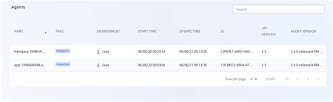 Lightrun Installation With Persistent Volumes Docs