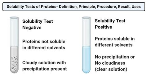 Solubility Tests Of Proteins Definition Principle Procedure Result Uses Наука