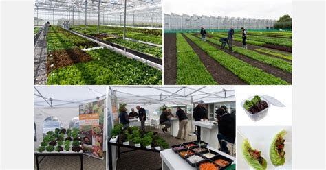 Gowtham Prakash Phd Posted On Linkedin