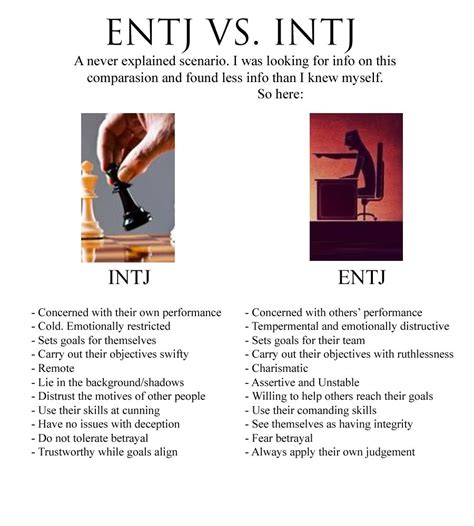 ENTJ Vs INTJ To Explain The Differences Between The Two Not Always
