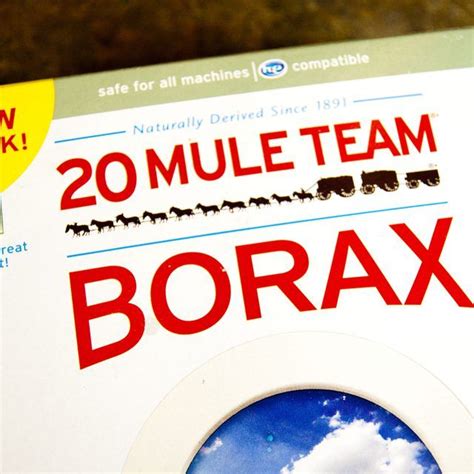 Put Borax In Your Home And Say Goodbye To Fleas Roaches Ants And Other Unwanted Pests Artofit