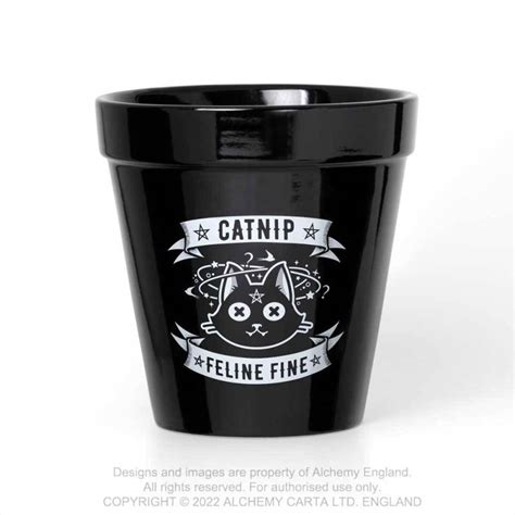 Catnip Plant Pot Gpp3 ~ Plant Pots Alchemy England