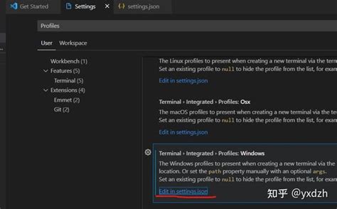 Windows11 Powershell Vs Code 美化 设置 Conda 环境名 知乎