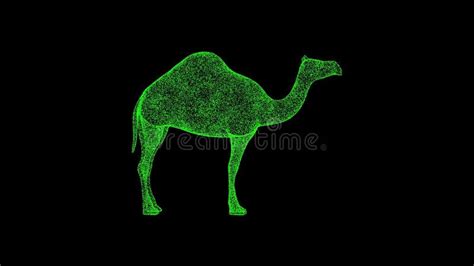 3d Camel On Black Bg Object Dissolved Green Flickering Particles Business Advertising Backdrop