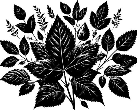 Rawan Leaf Image Stock Silhouette Vector Black Color Silhouette