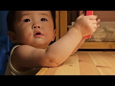 엄마가 자리를 비운 사이 YouTube