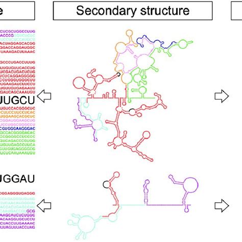 Lncrna Structured Motifs Identified By Secondary And Tertiary Structure
