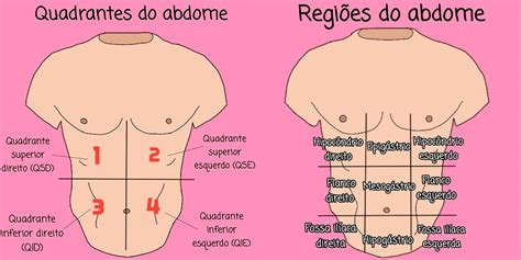 4 Regiões Do Abdômen