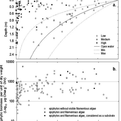 Schematic Representation Of The Four Types Of Macrophyte Stems