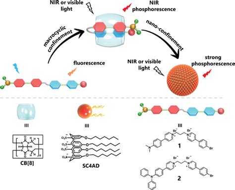 Schematic Illustration Of The Formation Of Supramolecular Assembly