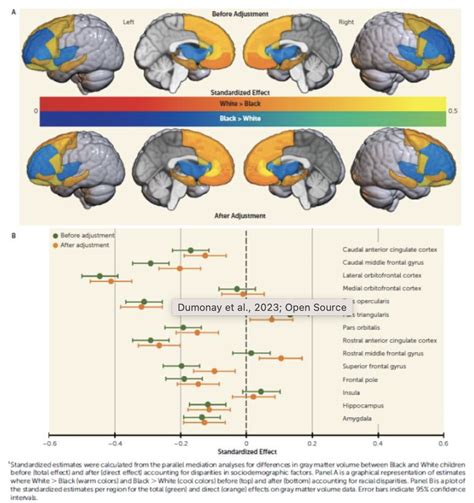 The Impact Of Racism On The Developing Brain — Grant H Brenner Md Dfapa