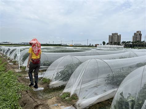นางสาวเสาวนี เขตสกุล นักวิชาการเกษตรชำนาญการพิเศษ และนายวีรยุทธ ดัดตนรัมย์ นักวิชาการเกษตรชำนาญ