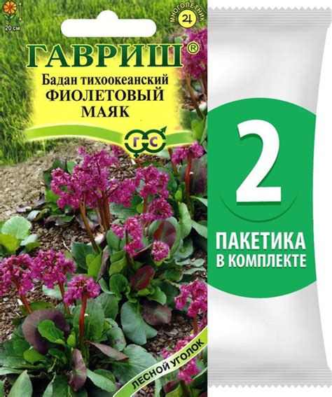 Бадан Гавриш Цветы Гавриш - купить по выгодным ценам в интернет ...