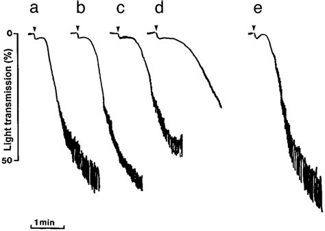 Convulxin Induced Platelet Aggregation Purified Cvx Was Added