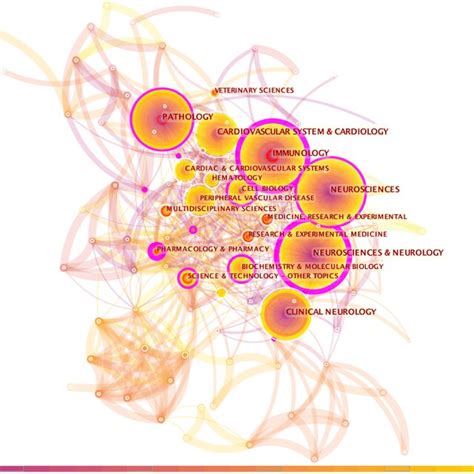 Citespace Top 25 Keywords Burst Detection In Perivascular Macrophages Download Scientific