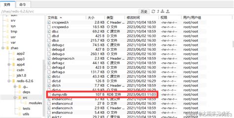Redis里的【rdb】是什么？redis Rdb Csdn博客