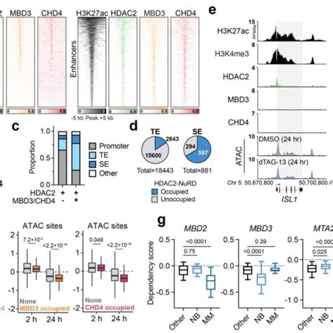 Hdac2 Degradation Compromises Nurd Function And Exploits Download Scientific Diagram