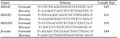 Differential Expression Of The Rna Binding Motif Protein 3 I
