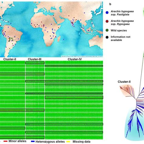 Snp Calling Pattern Genome Density And Polymorphism Of Snps In