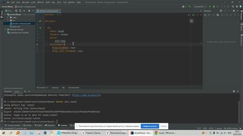 how to connect to a mysql via docker compose using intellijidea youtube