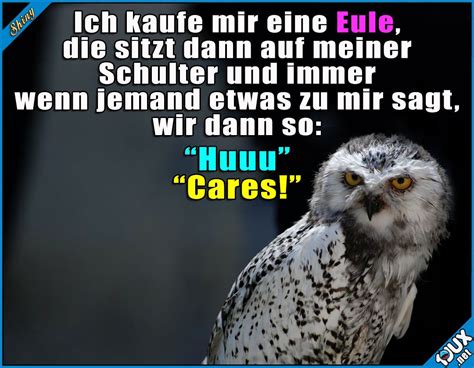 Lustige Eulen Sprüche Lustige Sprüche