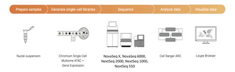 Illumina | 10x Genomics Chromium Single Cell Multiome ATAC + Gene…
