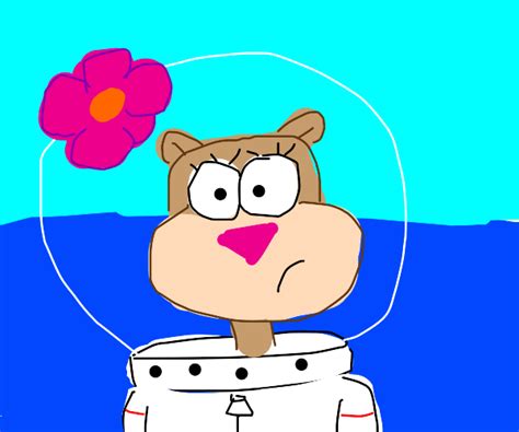 Sandy Cheeks Spongebob Show Drawception