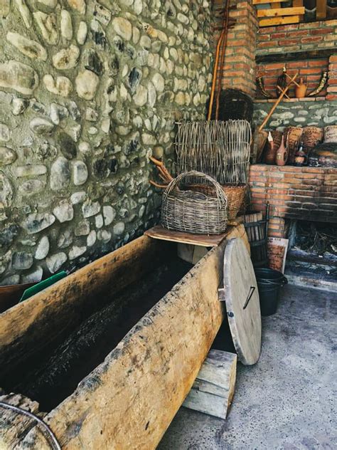 🍇 იცით რამდენი წელი ცოცხლობს ვენახი 💫 ვენახის სიცოცხლისუნარიანობა