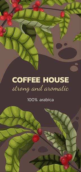 만화 스타일의 커피 나무의 가지와 열매와 커피 광고의 벡터 일러스트 개념 커피숍이나 카페를 위한 갈색 배경에 수직 배너 또는 브로셔 커피에 대한 스톡 벡터 아트 및 기타