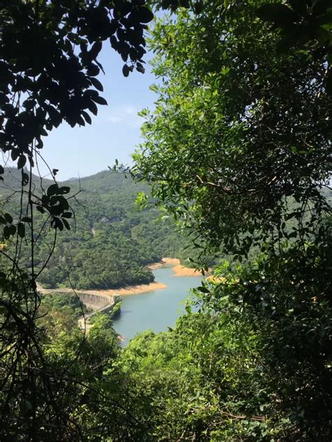 【夏日行山好去處】避暑、免曝曬 五條夏天行山路線 水塘行山 有林蔭 遊記攻略 遊玩攻略