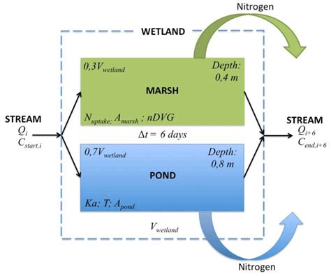 Conceptual Model For The Wetland Simulation Model The Control Volume