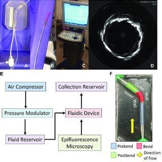 Validation Of The Computationally Reconstructed Phantom Model A