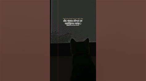 আলহামদুলিল্লাহ আলা কুল্লি হাল 🖤🖇️ Muslimagirl2023 Youtube