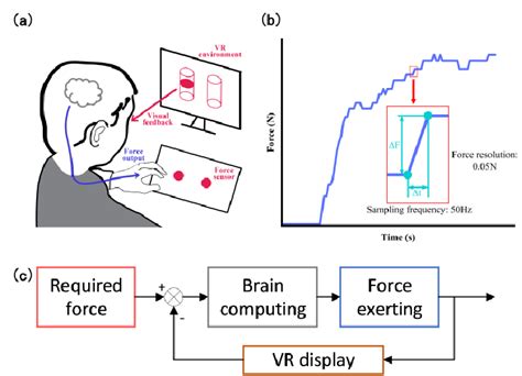 brain function in haptic perception and control process a the force