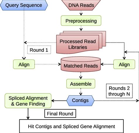 Srassembler Selective Recursive Local Assembly Of Homologous Genomic Regions Abstract