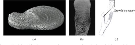 figure 2 from macroscopic modelling of environmental influence on