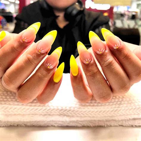 Professionail Queensgate Lower Hutt