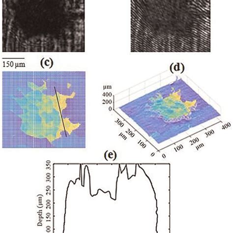 Chemical Compositions Of The Ferrite Matrix With The Precipitations
