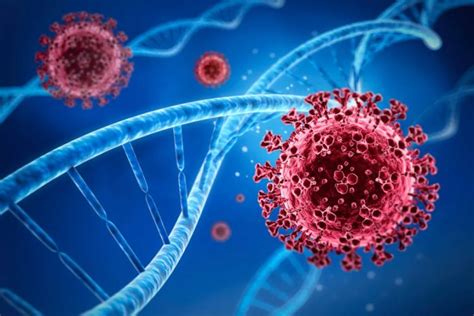 Coronavirus In Calabria Sei Decessi Due Sul Territorio Metropolitano