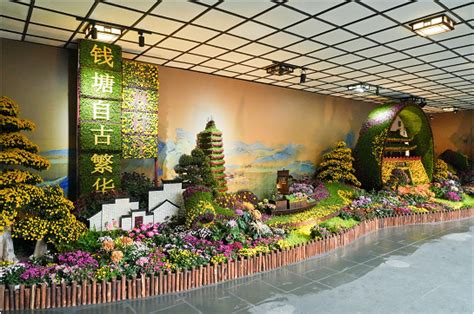 莫负秋日好时光！杭州植物园两宋菊花精品展来啦！杭州网