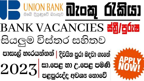 පුහුණු බැංකු සහයක බඳවාගැනීම් 2023 Youtube