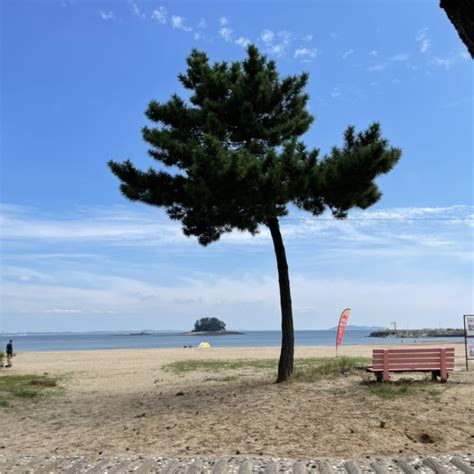 태안 바다 캠핑장 연포해수욕장 서해 추천 네이버 블로그