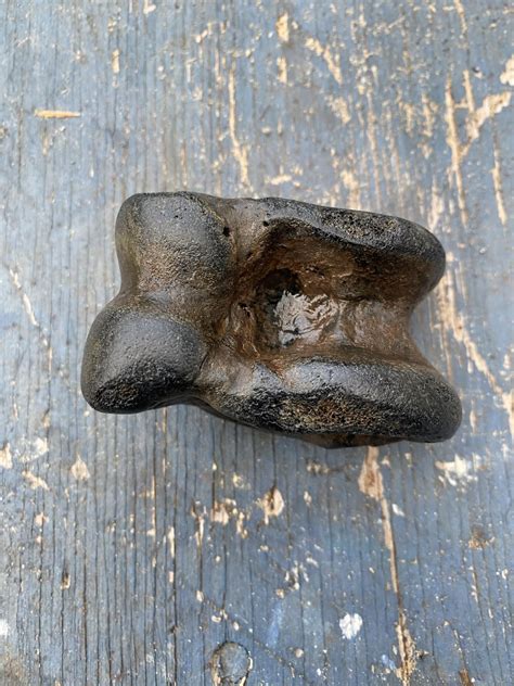 Is This A Fossilized Bone R Whatsthisrock