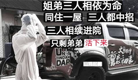 毛孩守護者 3姐弟2疫歿 国内 新型冠狀病毒 2021 09 20 光明日报
